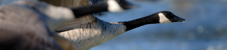 MikeWarnke.org – The Official Webhome of the Ministry of Mike Warnke